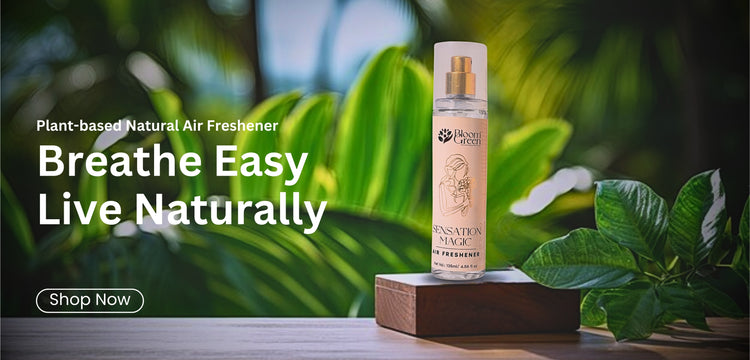 Bloom Green – Natural, Plant-Based Air Fresheners for a Healthier Home